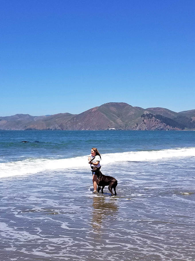Who needs a swimming pool when you've got the Pacific Ocean as your backyard? Just bring a wetsuit&mdash;this isn't Cancun water temperatures.