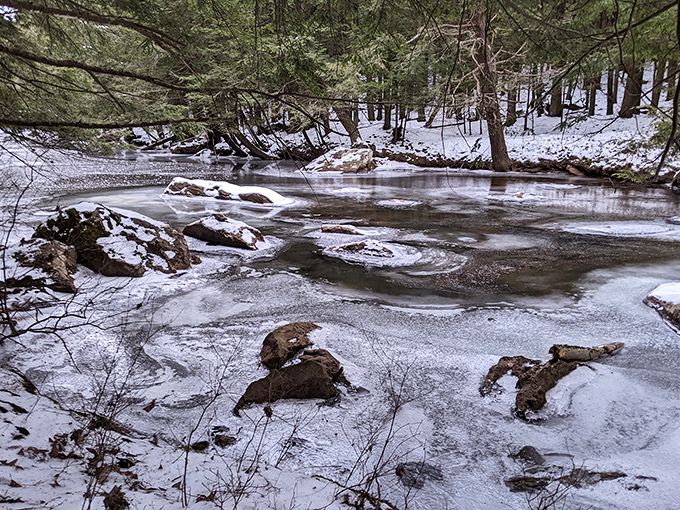 Even in winter's grip, Nescopeck's streams refuse to surrender completely. The partially frozen creek creates marble-like patterns worthy of a gallery.