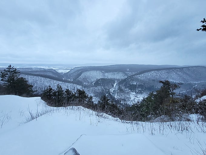Winter transforms Penn's View into a monochromatic masterpiece. The snow-covered valley below looks like it's sleeping under a white blanket.