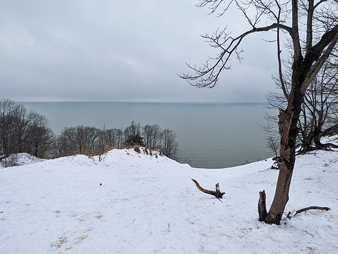Winter transforms Van Buren into a snow globe landscape where silence is broken only by the distant rhythm of waves meeting icy shore.