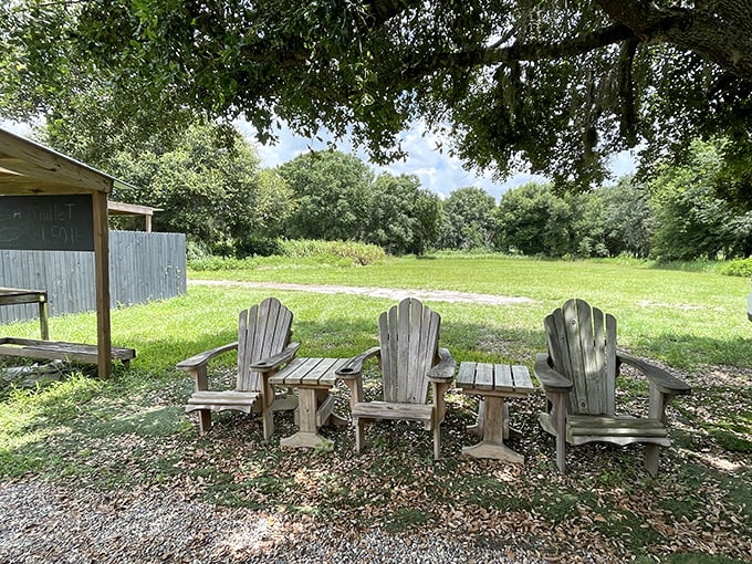 Adirondack chairs under oak trees&mdash;nature's waiting room where anticipation builds and post-meal food comas are welcomed with open arms.