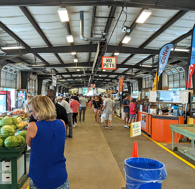 Charlotte Regional Farmers Market's industrial-chic design houses nature's bounty in an organized shopper's paradise.