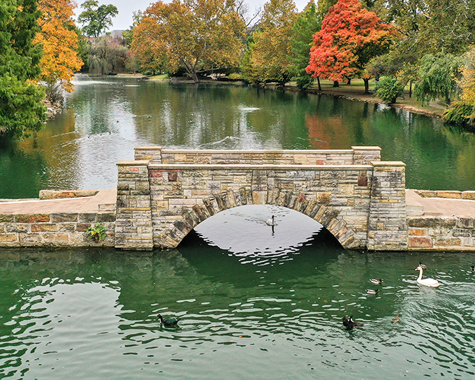 Rivers and woodlands that make you realize Mother Nature was designing screensavers long before computers.