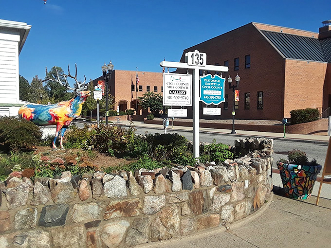 Elkton welcomes visitors with colorful murals that celebrate community spirit and artistic expression together.