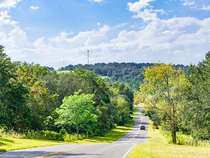Rolling hills that would make a Floridian mountaineer proud create an unexpected landscape along the Green Mountain Scenic Byway.