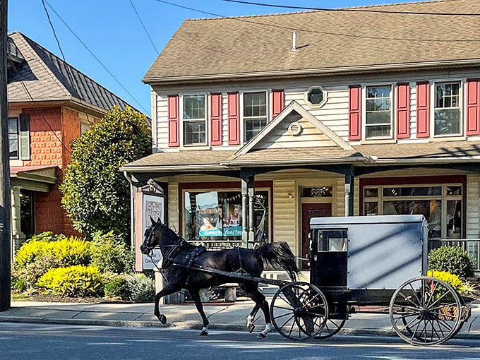 Where horse-drawn meets historic! Intercourse's main street welcomes visitors with a blend of past and present.