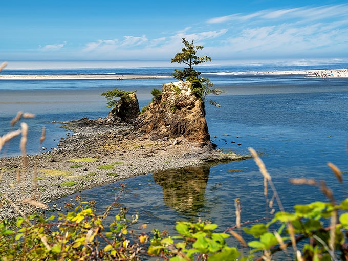 Lincoln City: A lone tree stands defiant on its tiny island, proving that sometimes the most beautiful things are those that survive against the odds.