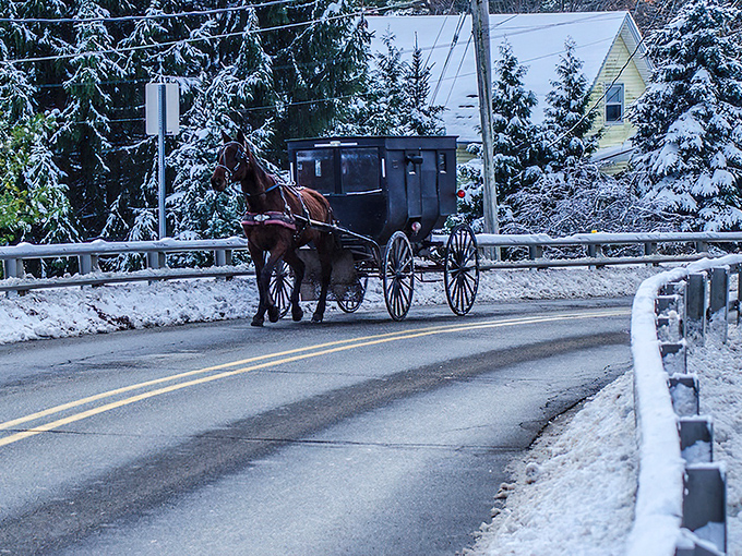 Winter in Amish country means buggies brave the snow&mdash;a scene so picturesque it belongs on a holiday card.