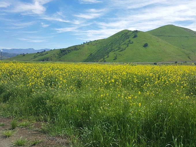 Porterville: Community spaces designed for connection, not to empty your wallet. Clean lines and clear skies come standard.