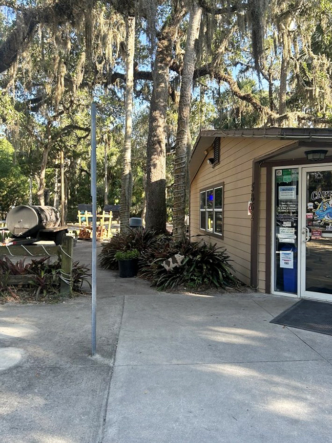 Those moss-draped oaks create the perfect setting for enjoying barbecue that's as authentic as Florida's natural beauty.