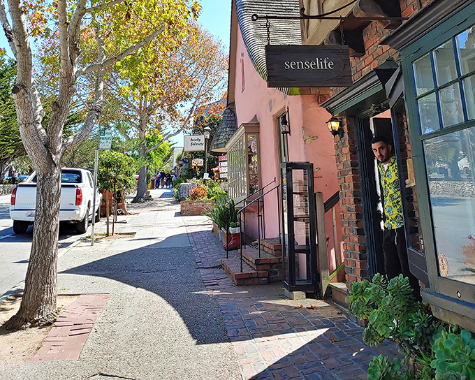 This artistic enclave combines million-dollar galleries with dog-friendly beaches in perfect coastal harmony.