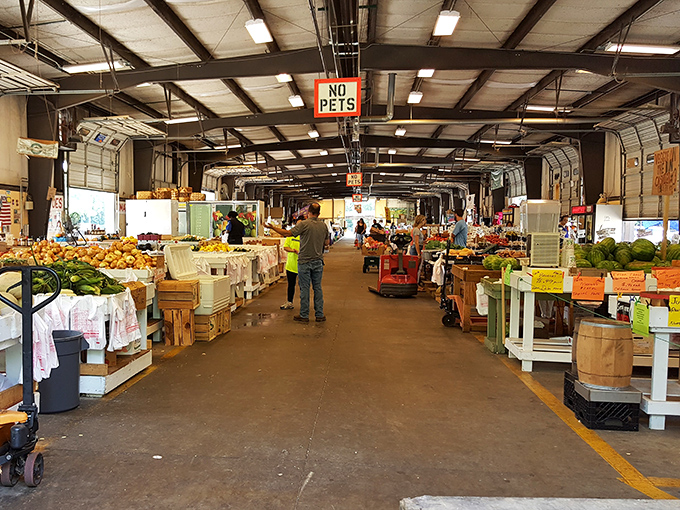 No sad supermarket produce here! Charlotte Regional's market halls burst with vibrant local harvests that remind you what fruits and vegetables are supposed to taste like.