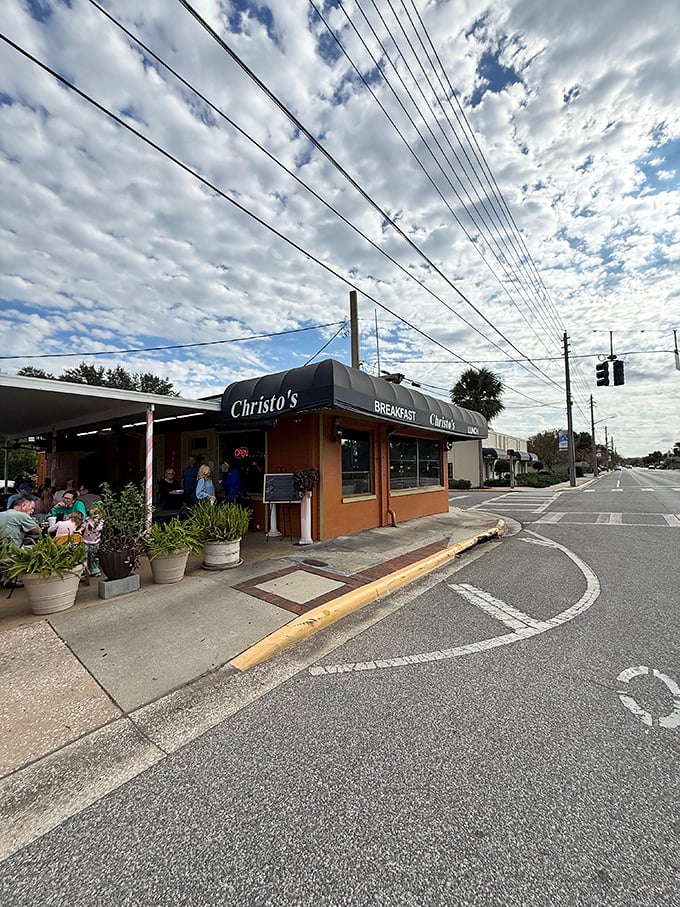 Power lines and palm trees frame this neighborhood gem where locals gather for morning rituals.