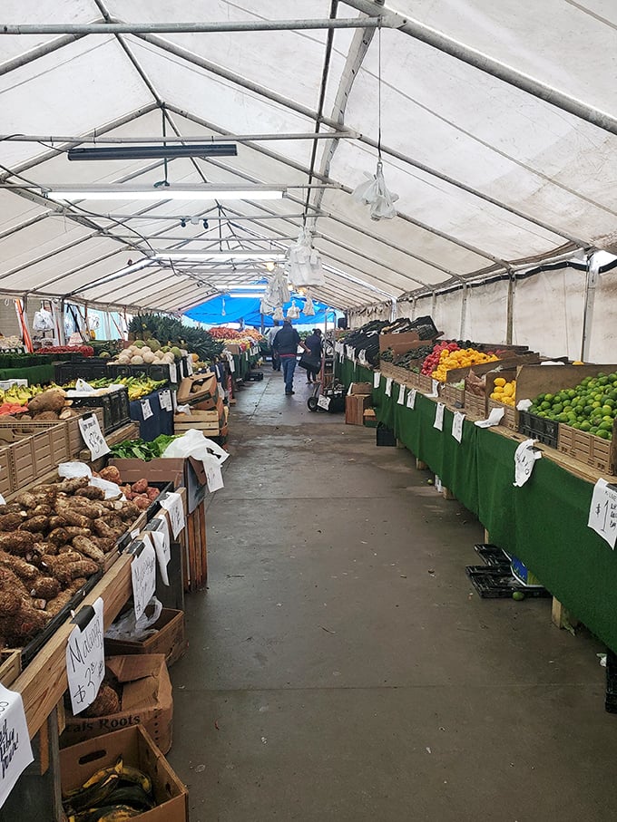 Produce and peculiarities! Coastal Carolina's fresh vegetables sit alongside vintage treasures in this shopper's paradise.