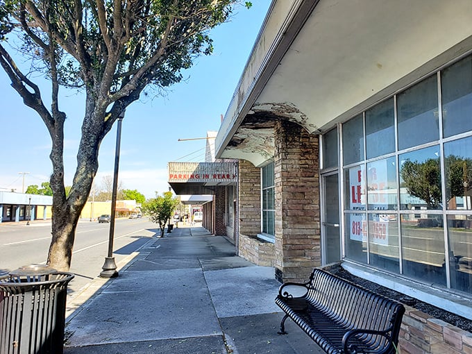 Historic brick buildings in Dade City stand like sentinels of another era, when shopping was an afternoon's entertainment.