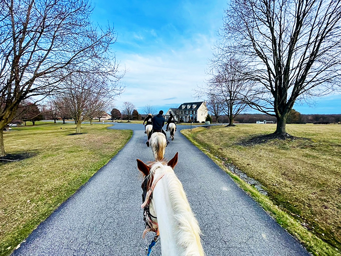 Wide open spaces around Elkton offer room to breathe and endless possibilities for outdoor adventures. 