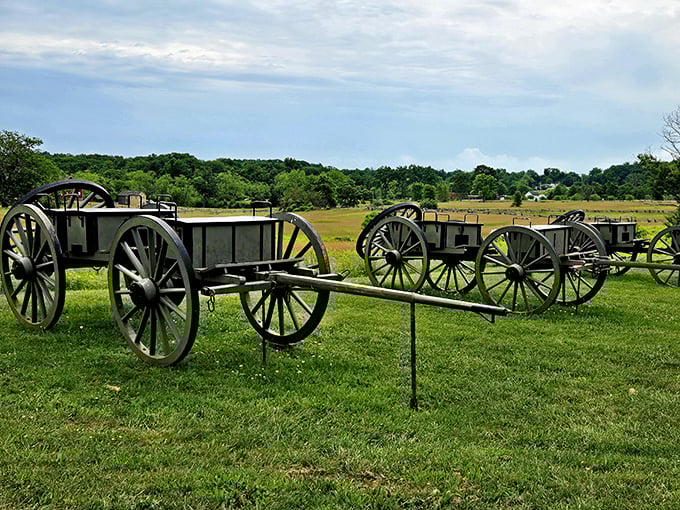Civil War wagons rest on Gettysburg's peaceful fields, a stark contrast to the chaos that once defined this pivotal battleground.