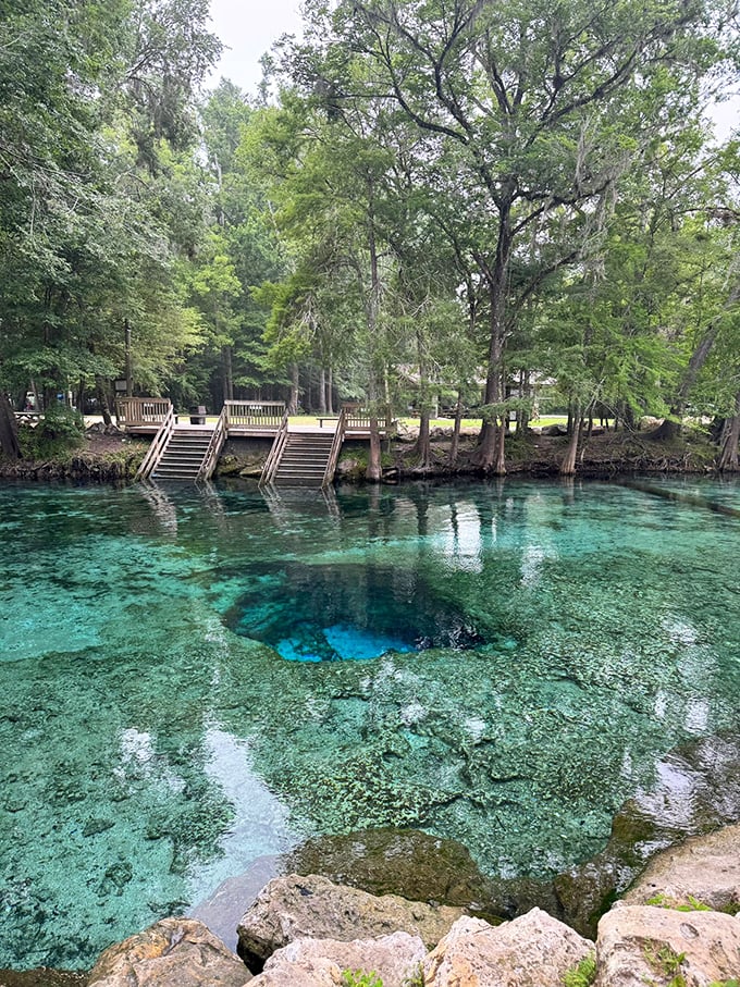Nature's own infinity pool! Ginnie Springs' crystalline waters meet the forest edge in a scene straight from a travel magazine.