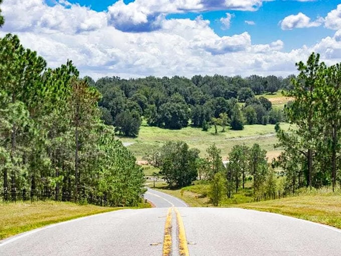 The Green Mountain route offers elevation that feels like the Alps of Florida&mdash;if the Alps topped out at 312 feet.