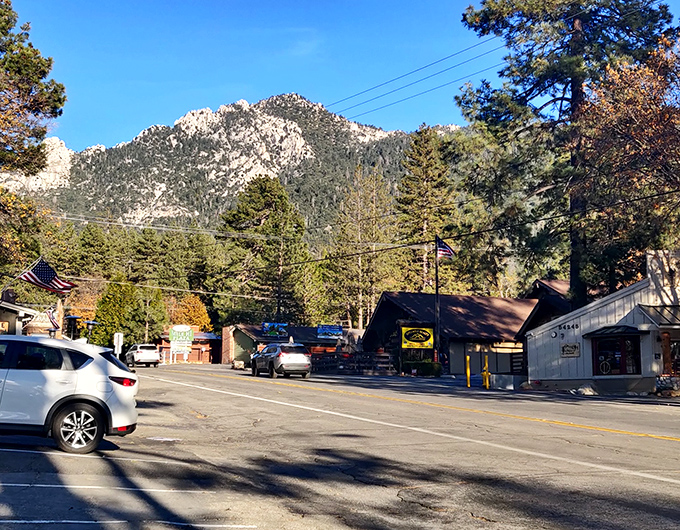 Pine-scented air and mountain views make Idyllwild's main street feel like the perfect escape from city life.