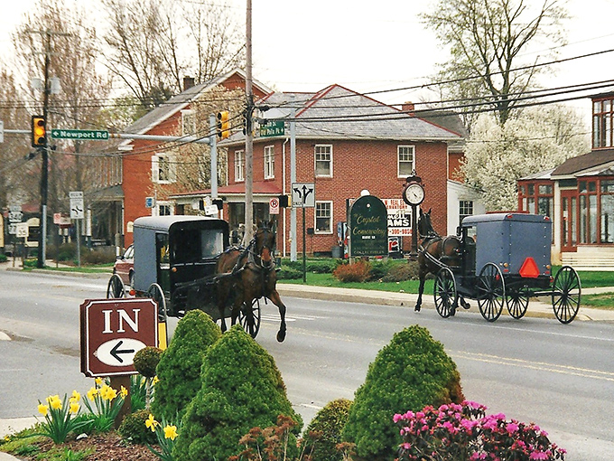 Spring blooms frame this perfect scene of an Amish buggy making its way through town.