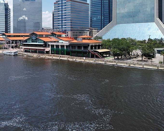 Where urban sophistication meets Southern affordability. Jacksonville's downtown skyline promises excitement without emptying your retirement account.