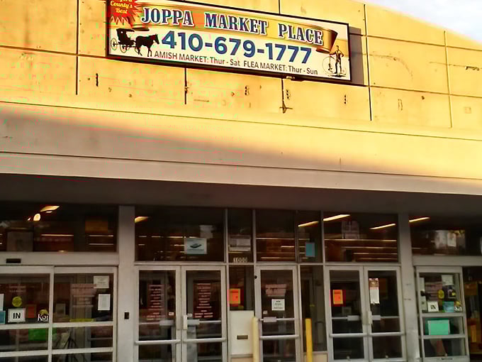 The golden glow of sunset highlights Joppa Market's welcoming entrance. Even the building seems to say "Come on in!"