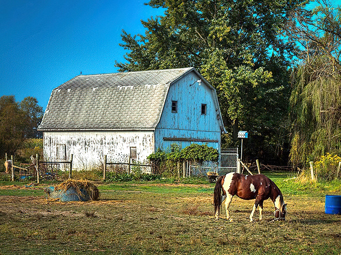 Millersburg&rsquo;s peaceful pastures and rustic barns offer the perfect countryside escape on a lazy weekend drive through Amish Indiana.