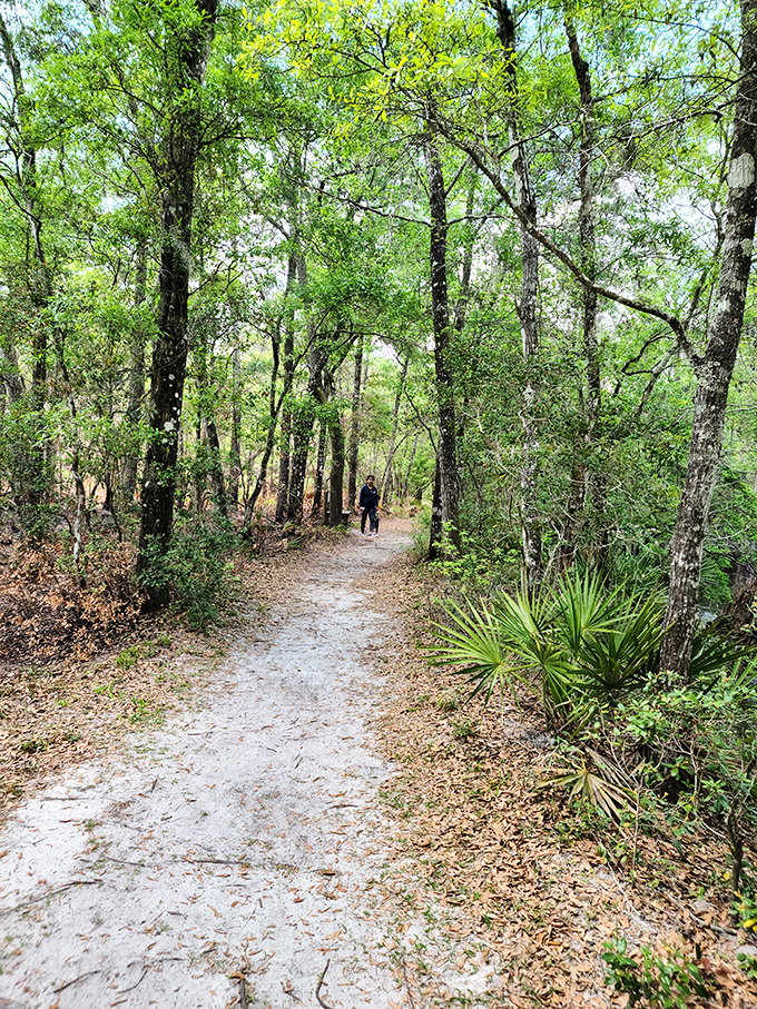 Forest bathing, Florida style! O'Leno's shaded pathways offer a cool retreat that's better than any day spa—and considerably less expensive.
