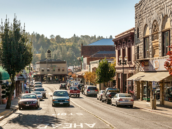 The heart of Placerville showcases its Gold Rush roots with well-preserved buildings lining the main street of this former mining boomtown.