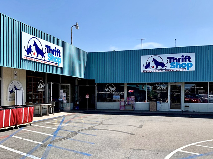 This animal-loving thrift shop might look modest, but inside are bargains that would make even the most pampered pets proud.