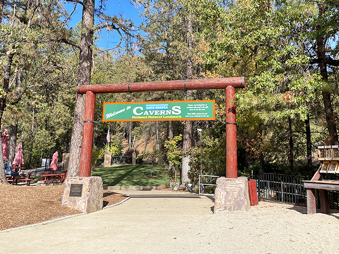 A playground of blue water surrounded by green mountains, where houseboats roam like modern-day covered wagons.