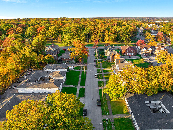 Autumn transforms Youngstown into a painter's palette of warm colors, proving industrial cities can do natural beauty with the best of them.