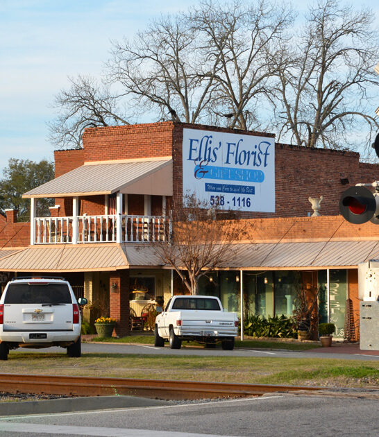 affordable charming town georgia ftr
