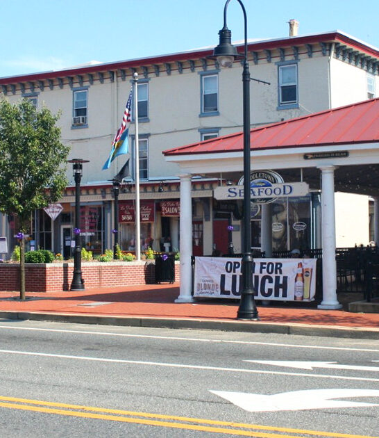affordable paradise town delaware ftr