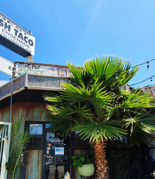 affordable taqueria iconic california ftr