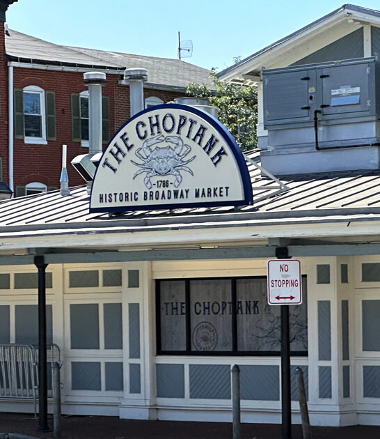 ahi tuna salad maryland ftr