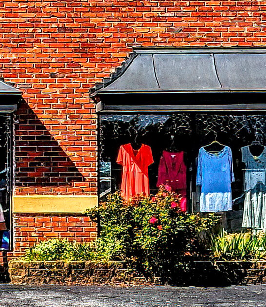 amazing bargains south carolina ftr