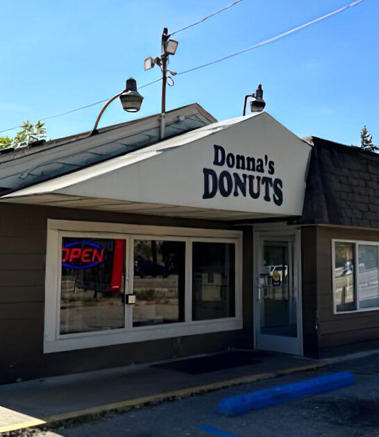 amazing donut shop michigan ftr