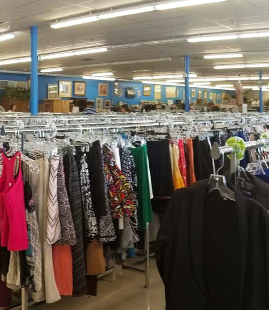 amazing enormous thrift florida ftr