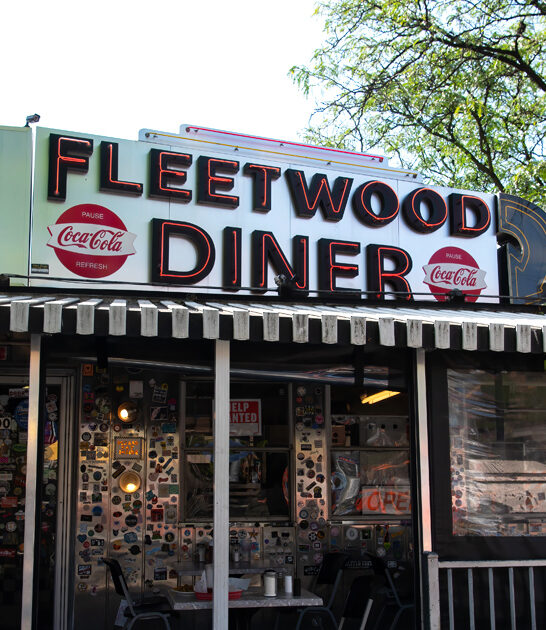 amazing gyros diner michigan ftr