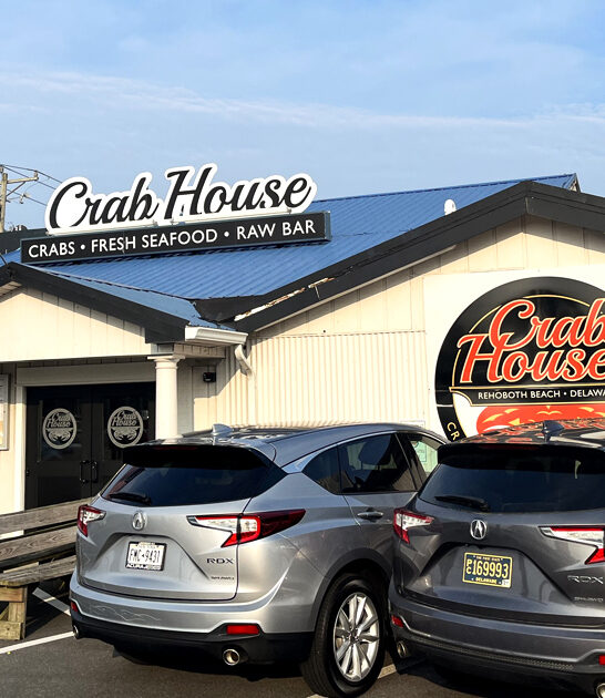 amazing hush puppies delaware ftr