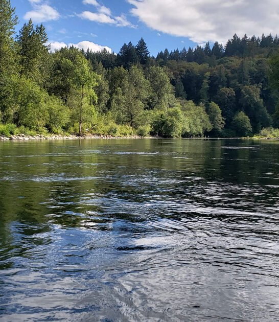 amazing state park oregon ftr