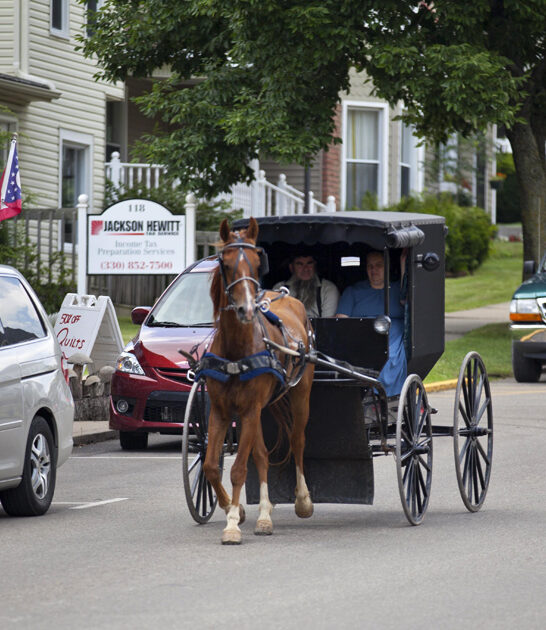amish food finds ohio ftr