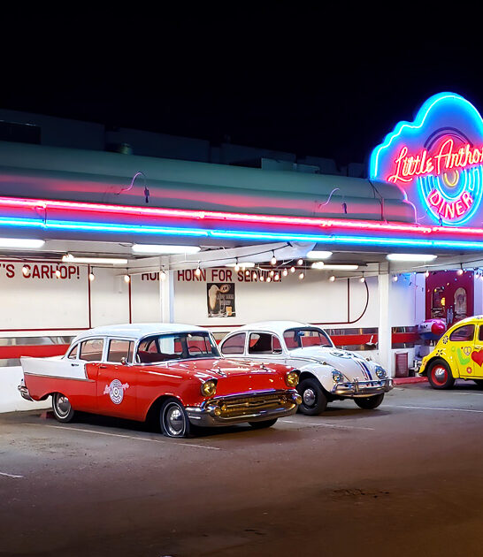 arizona bellery burger diner ftr