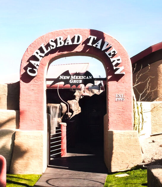 arizona best carne adovada ftr