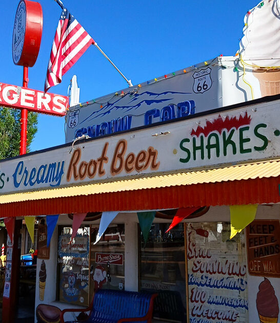 arizona delicious burger diner ftr
