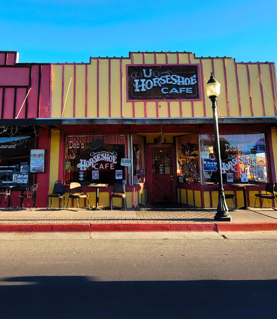 arizona diner biscuits gravy ftr