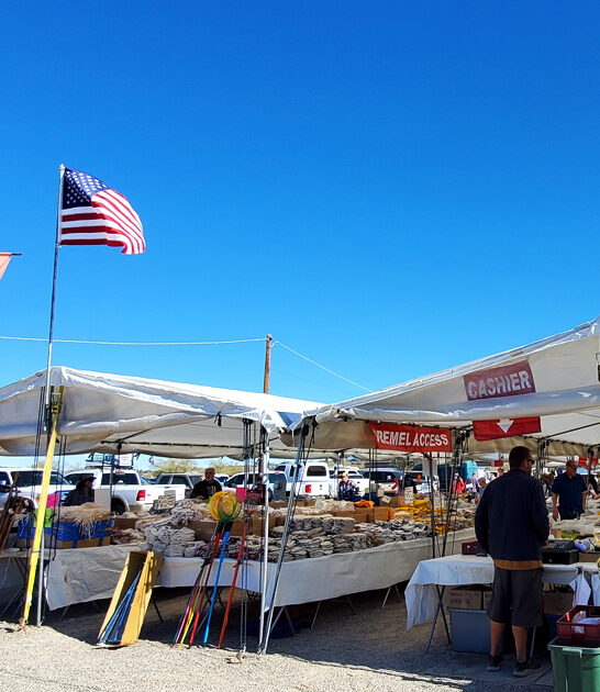 arizona enormous flea market ftr