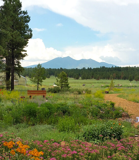 arizona nature grove escape ftr